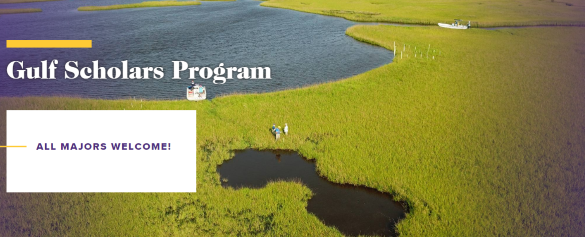 LSU Academic Affairs Newsletter