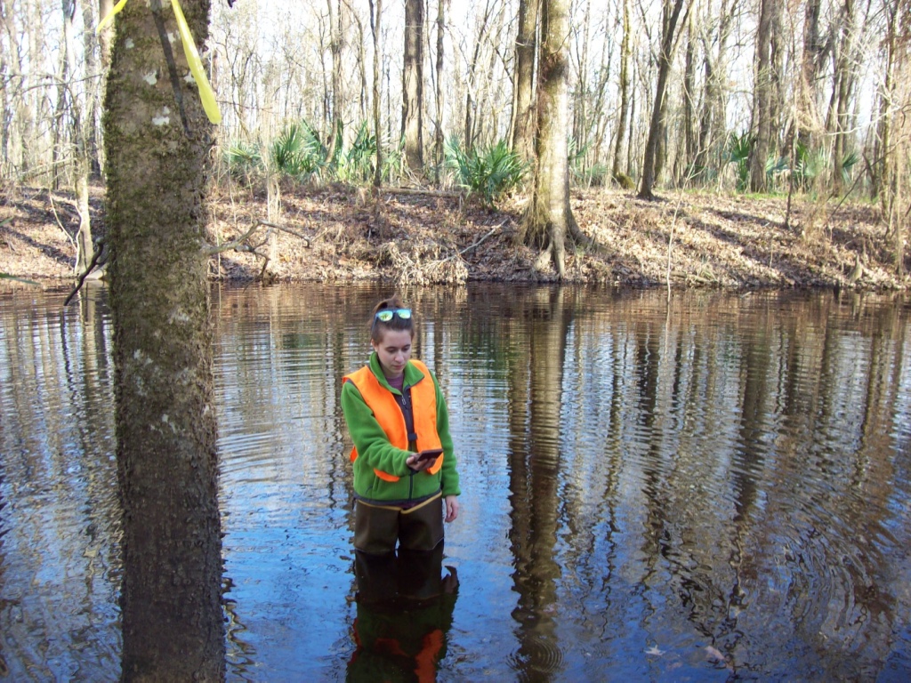 Intern researches effects of streamside management zones