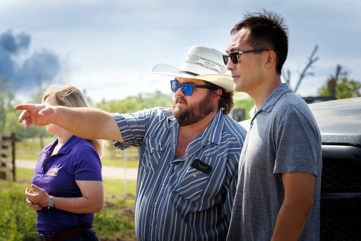 Breeding Better Beef: LSU’s Research Works to Transform Louisiana’s ...