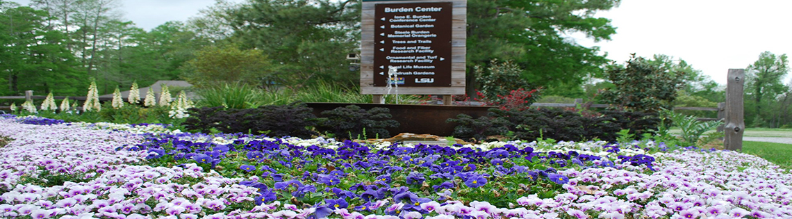 Visitor's Page | LSU AgCenter Botanic Gardens