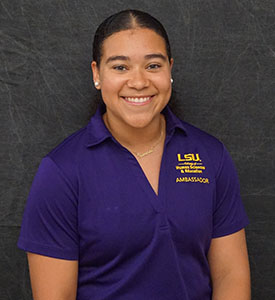 Meet the CHSE Ambassadors | CHSE