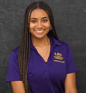 Meet the CHSE Ambassadors | CHSE