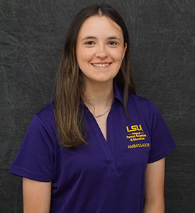 Meet the CHSE Ambassadors | CHSE