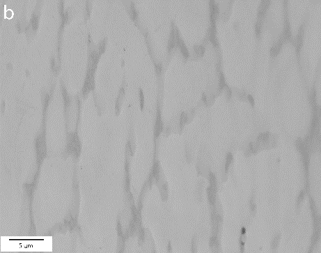 Shengmin Guo | LSU Mechanical & Industrial Engineering