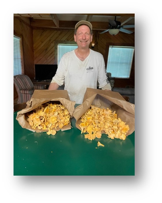 Discover Nature Programs | LSU Hilltop Arboretum