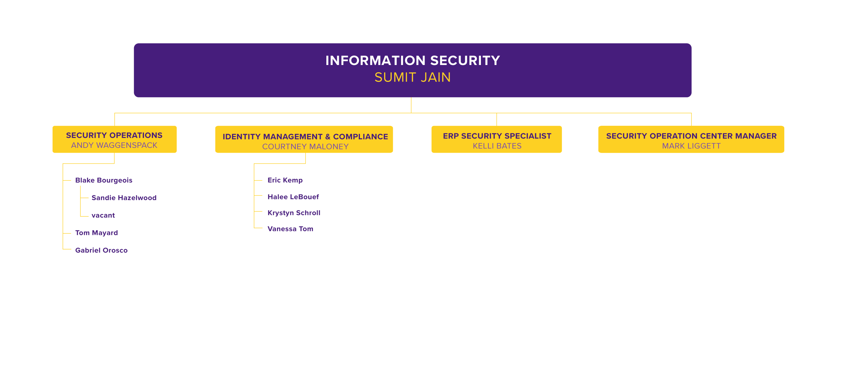 Information Security Org Chart | LSU Information Technology Services