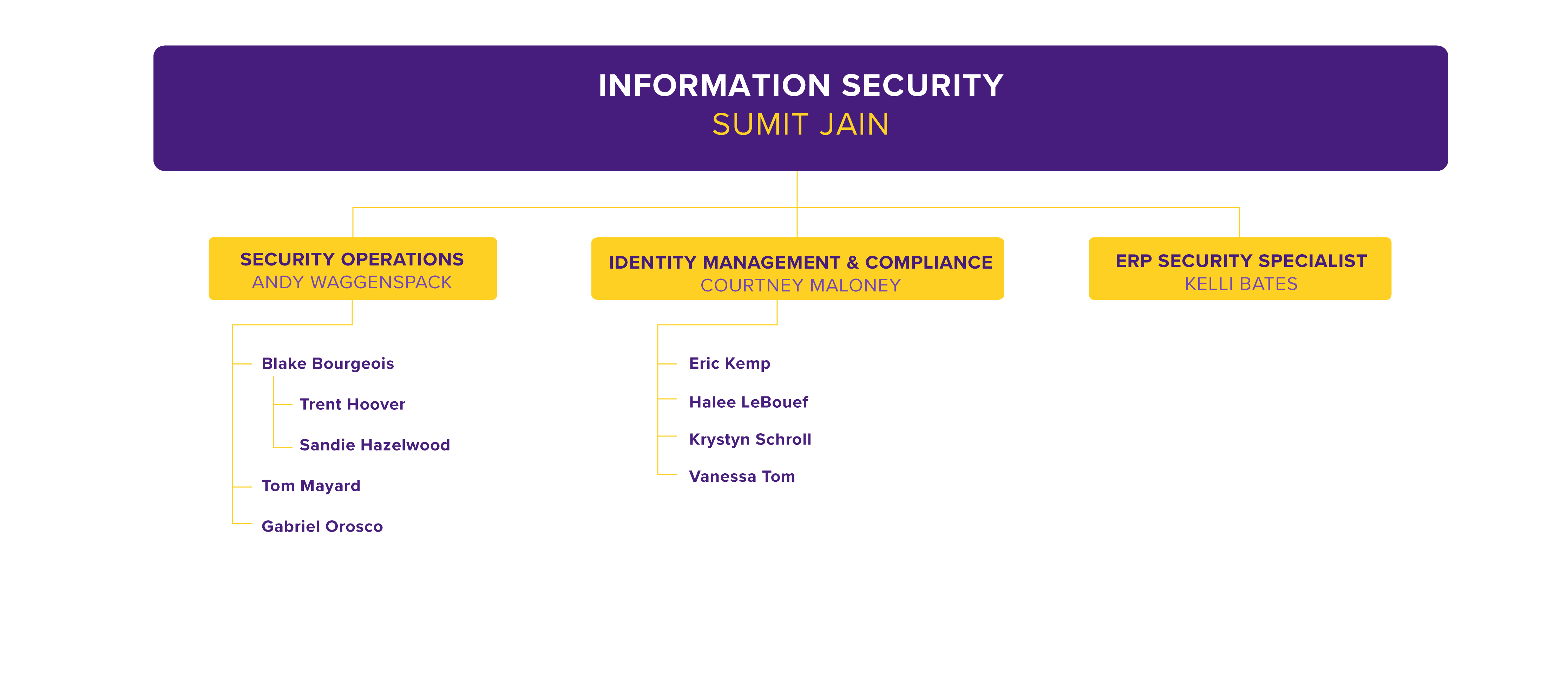 Information Security Org Chart | LSU Information Technology Services