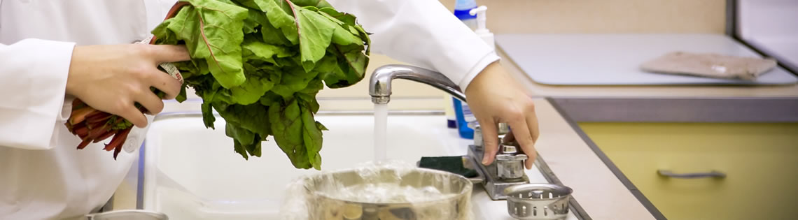 Nutrition & Food Sciences Major | LSU