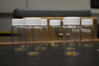 Instrument Facilities