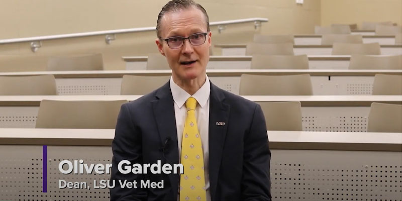 LSU Veterinary Medicine