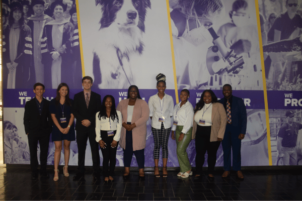 Insights into LSU Vet Med