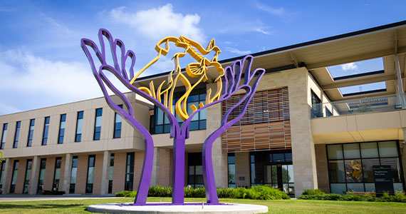 LSU Veterinary Medicine
