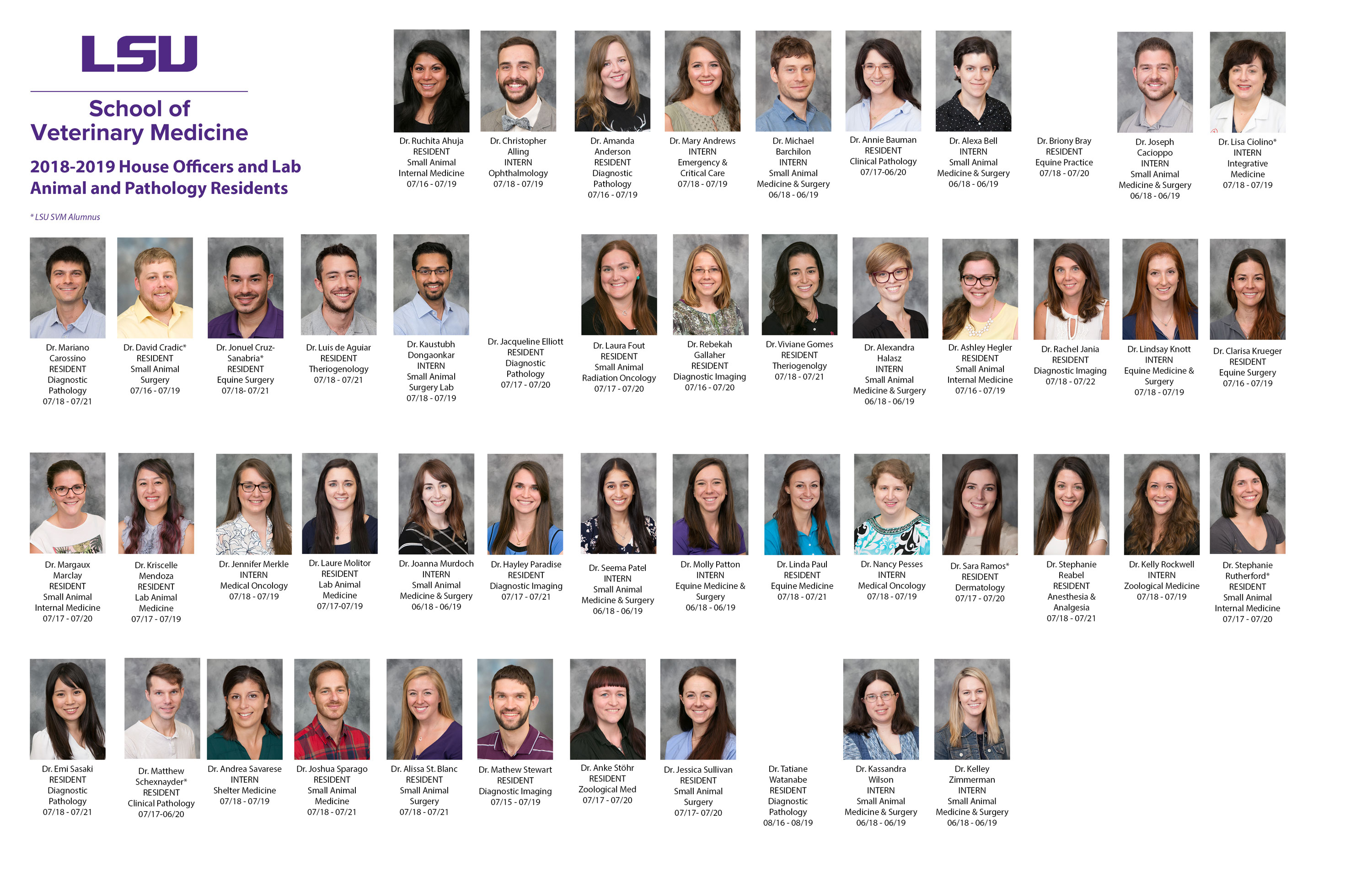 Student and House Officer Composites